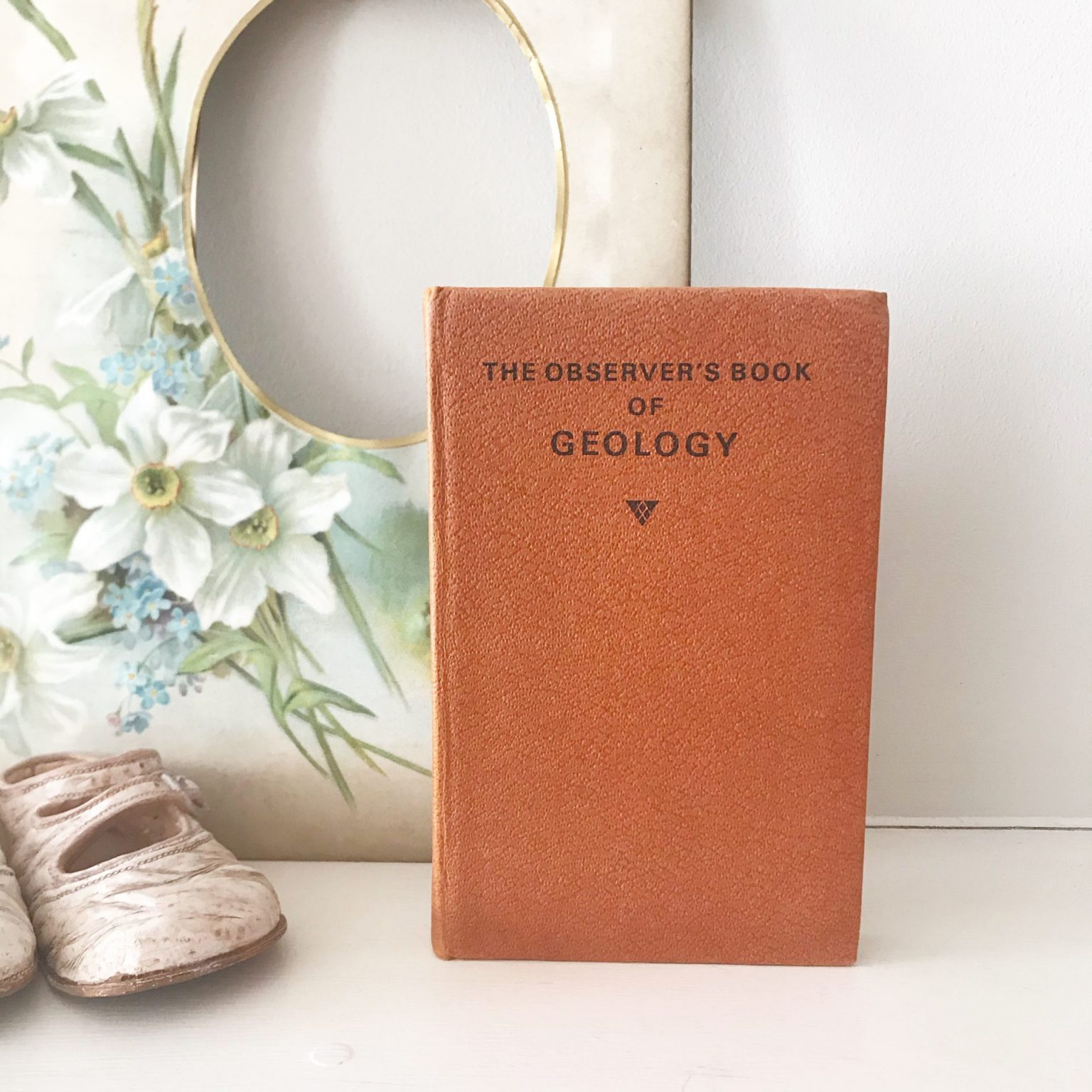 Vintage Observer Books Archives - Evie B Young At Heart