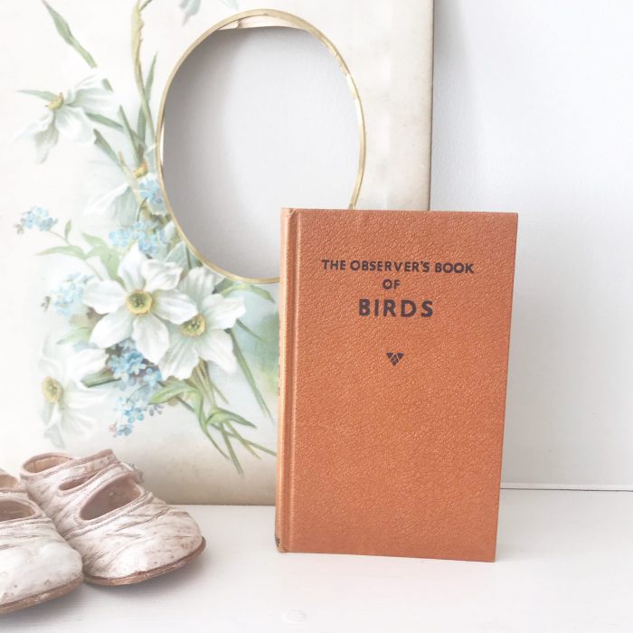 Vintage Observer Books Archives - Evie B Young At Heart