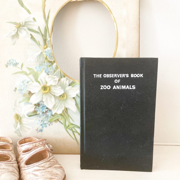 Vintage Observer Books Archives - Evie B Young At Heart